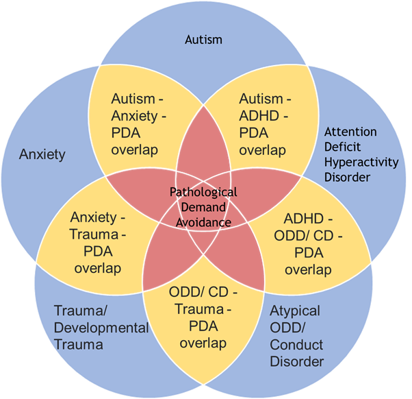 A DRAFT OF THE PATHOLOGICAL DEMAND AVOIDANCE – BELIEFS SCALE (PDA-BS ...
